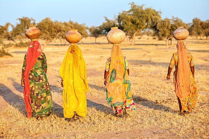 From Delhi: 8 Day Tiger Safari and Golden Triangle Tour - Analyzing the Tour Itself