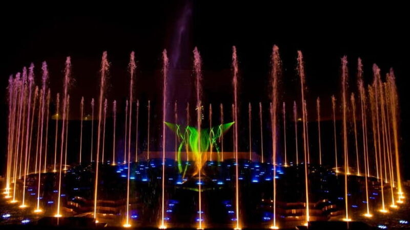 From Delhi: Akshardham Exhibition and Sahaj Anand Water Show - Authenticity and Value