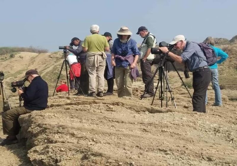 From Delhi: Chambal River Safari with Jeep and Boat Ride - The Value of This Tour