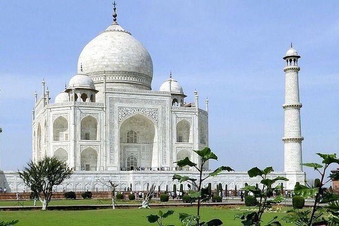 From Delhi : Delhi private Day Tour - Who Should Book This Tour?