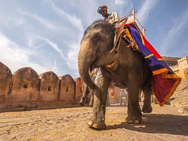 From Delhi : Exclusive Golden Triangle 4-Day Luxury Tour - A Well-Rounded Introduction to India’s Golden Triangle