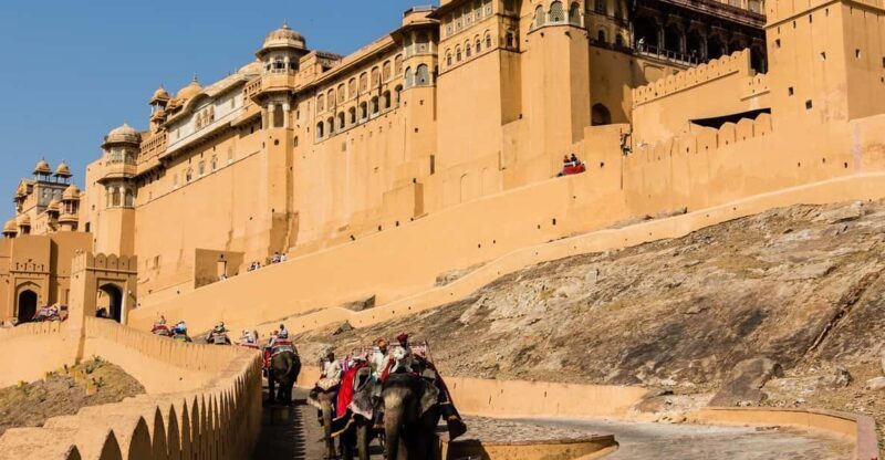 From Delhi: Jaipur Private Full-Day Guided Tour - Who Will Love This Tour?