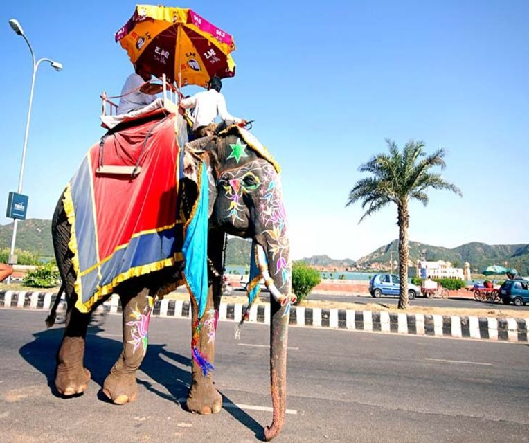 From Delhi: Jaipur Private Full-Day Guided Tour - Practical Tips for Travelers
