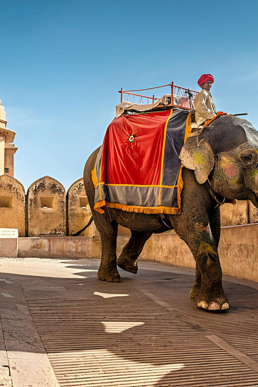From Delhi: Jaipur Same Day Tour By Car - FAQs