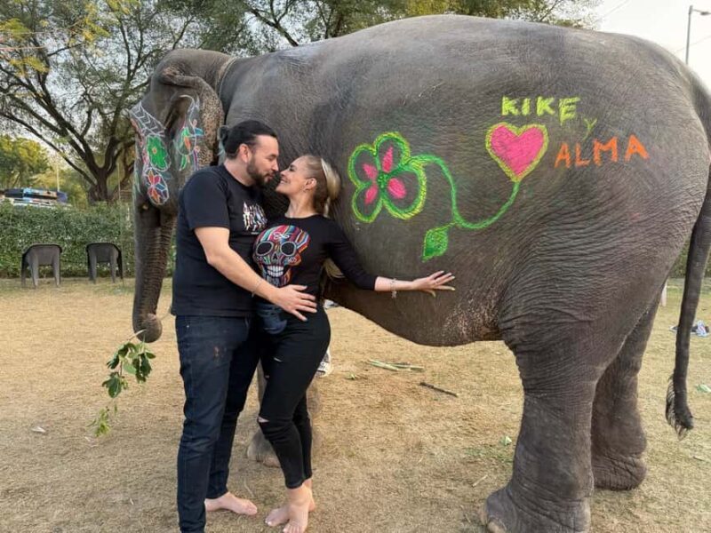 From Delhi: Private 5 Days Golden Triangle Guided Tour - Transportation and Group Size