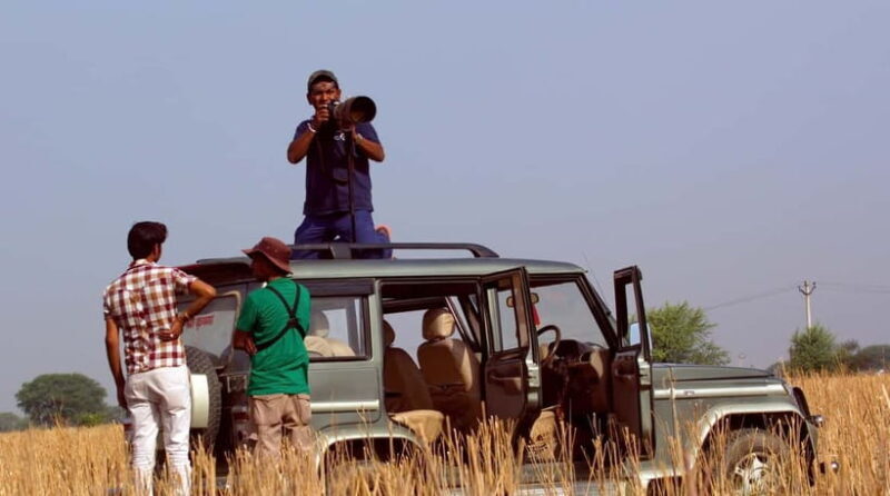 From Delhi : Private Chambal River Safari - Exploring Bateshwar Temple Complex