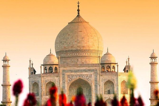 From Delhi: Private Day Tour to Taj Mahal & Agra Fort - Authentic Experiences and Traveler Insights