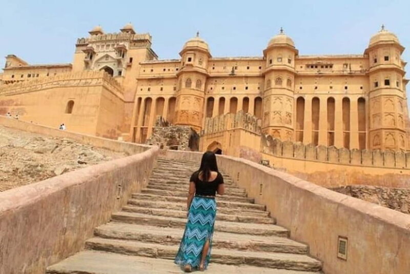 From Delhi: Private Jaipur & Amber Fort Guided Tour by Car - Who Should Consider This Tour?