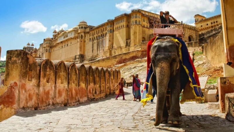 From Delhi: Private Jaipur City Tour with Monkey Temple - The Practical Side: Transport, Timing, and Group Size