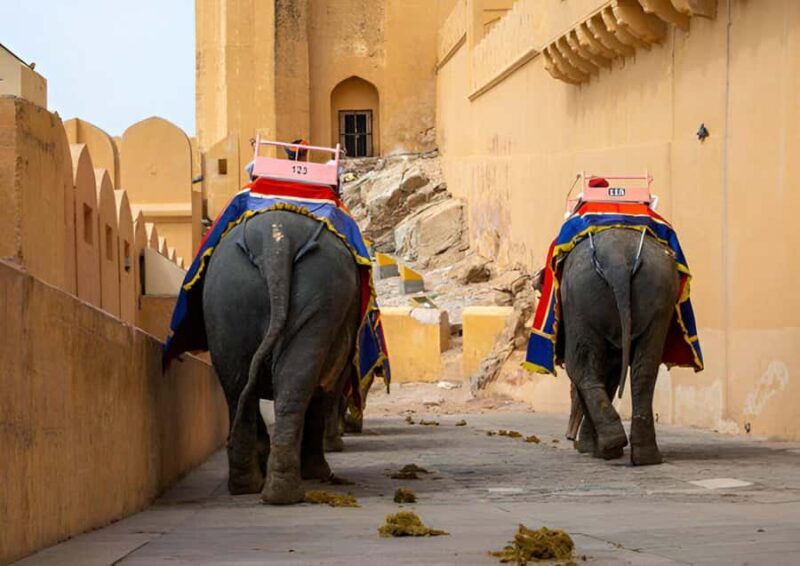 From Delhi: Private Jaipur full-day tour with expert guide - Who Should Consider This Tour?