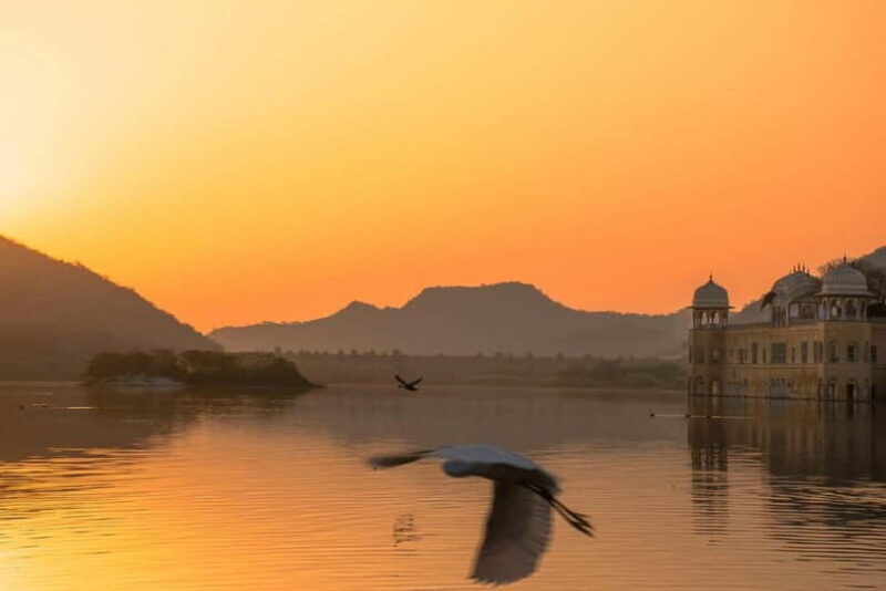 From Delhi: Private Jaipur Highlights Day Trip with Transfer - Who Is This Tour Best For?