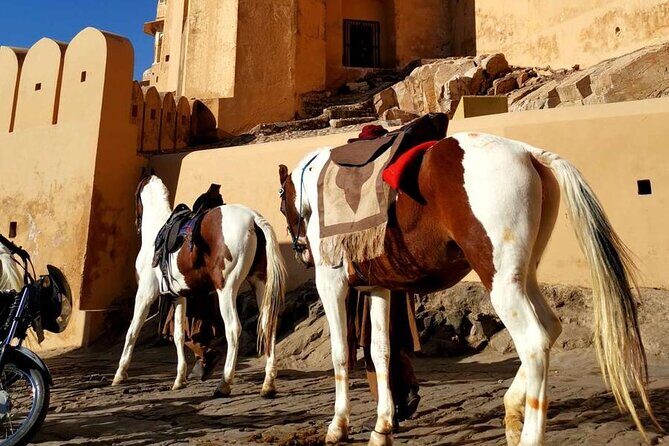 From Delhi: Private Jaipur Tour by Car - All Inclusive - Frequently Asked Questions