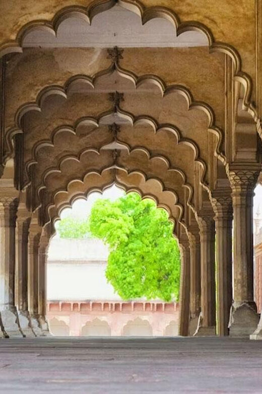 From Delhi: Private Taj Mahal & Agra Tour with 5* Lunch - Practical Tips for Travelers