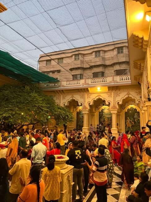 From Delhi: Private Taj Mahal and Mathura & Vrindavan Tour - Key Points