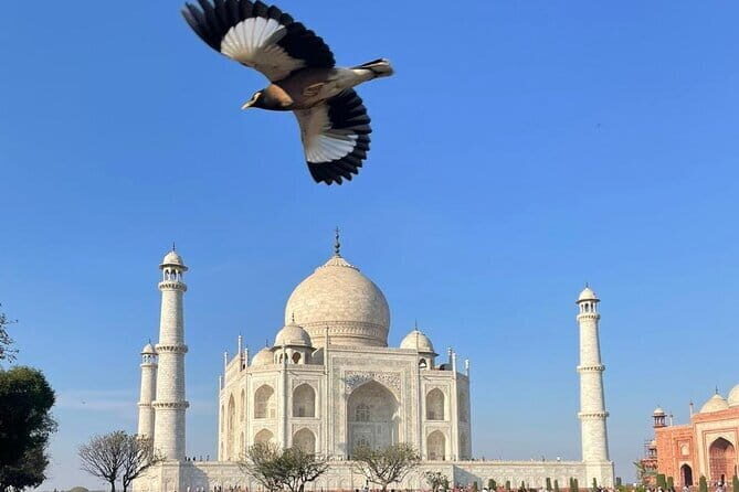 From Delhi Private Taj Mahal Sunrise and Agra Day Tour By Car - Key Points