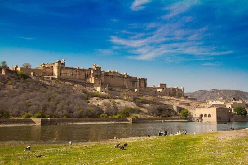 From Delhi: Same Day Guided Jaipur Tour with 5 Star Lunch - Jal Mahal: A Water Palace with Stunning Vistas