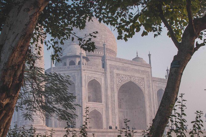 From Delhi: Same Day Taj & Agra Fort with Sunrise Option - Who Will Love This Tour?