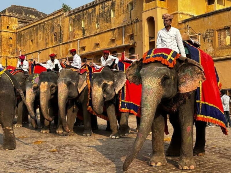 From Delhi: Same day Tour of Jaipur by Private AC Car - Who Should Consider This Tour?