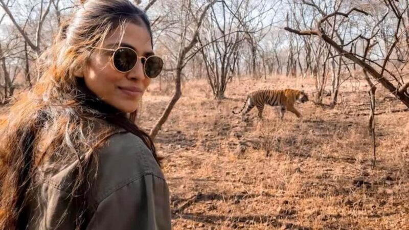 From Delhi: Sariska Wildlife Safari with Private Car - The Itinerary Breakdown
