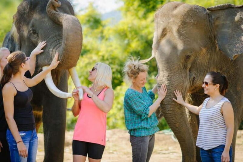 From Delhi: Sunrise Taj Mahal Tour With Elephant SOS - Who Will Appreciate This Tour?