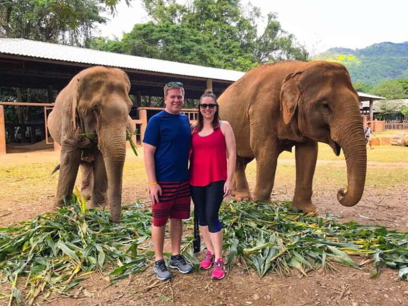 From Delhi: Taj Mahal, Agra Fort & Elephant Sanctuary Tour - Key Points