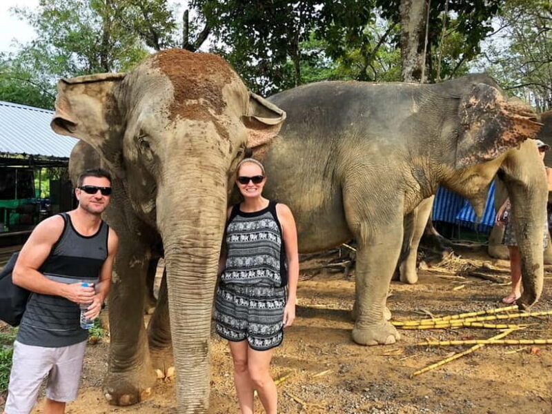 From Delhi: Taj Mahal, Agra Fort & Elephant Sanctuary Tour - From Delhi: Taj Mahal, Agra Fort & Elephant Sanctuary Tour — An Authentic Day Trip for Curious Travelers