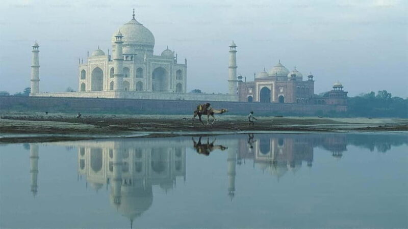 From Delhi: Taj Mahal & Agra Private Day Trip With 5* Lunch - Key Points