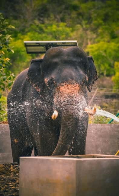 From Delhi: Taj Mahal & Agra Tour & Elephant SOS & 5*Lunch - The Itinerary: What You’ll Experience