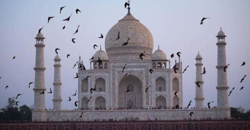 From Delhi: Taj Mahal Sunrise & Agra Day Tour with Transfers - Explore the Taj Mahal at Dawn — A Unique Perspective