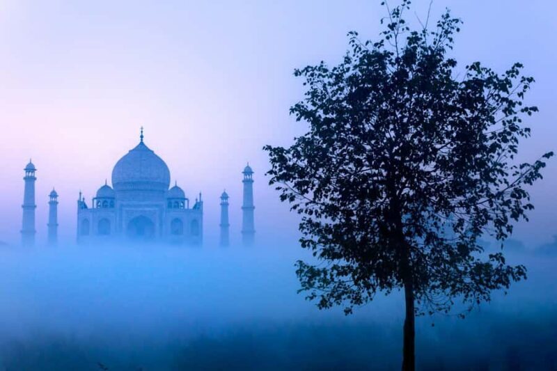 From Delhi: Taj Mahal Sunrise, Agra Fort & Baby Taj Day Tour - What Travelers Say