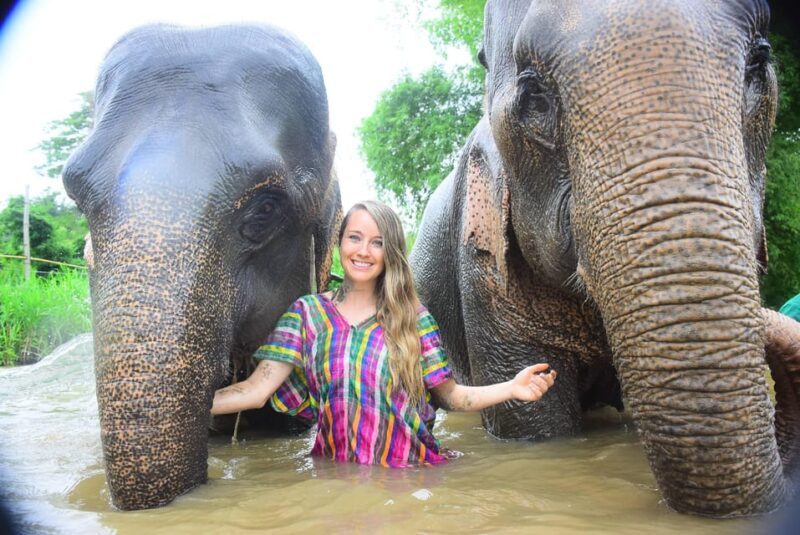 From Delhi: Taj Mahal Sunrise, Agra Fort & Elephants Tour - Who Should Consider This Tour?