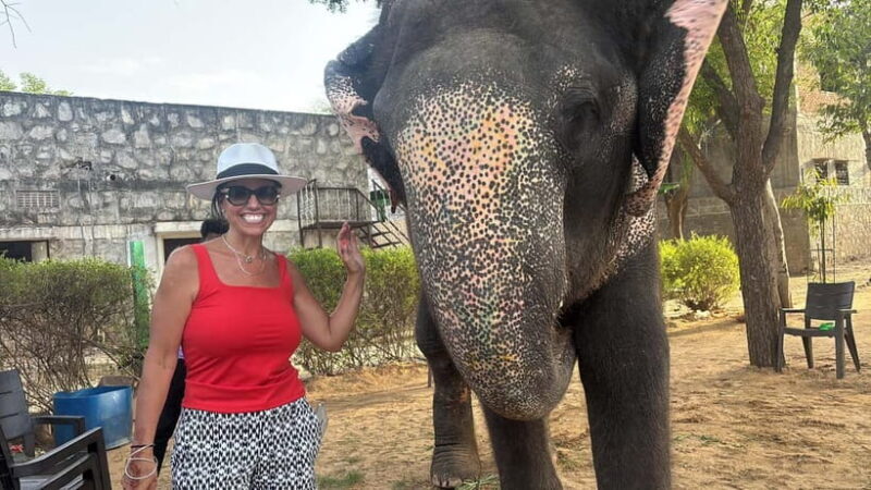 From Delhi: Taj Mahal Sunrise and Elephant Conservation Tour - Watching the Taj Mahal at Sunrise