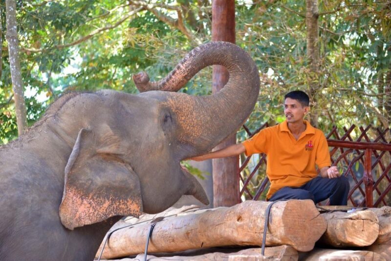 From Delhi: Taj Mahal Sunrise and Elephant Wildlife SOS Tour - How This Tour Delivers Value
