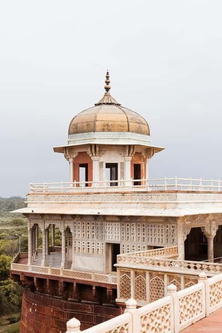 From Delhi: Taj Mahal Sunrise Tour w/ Elephant Conservation - Lunch and Rest