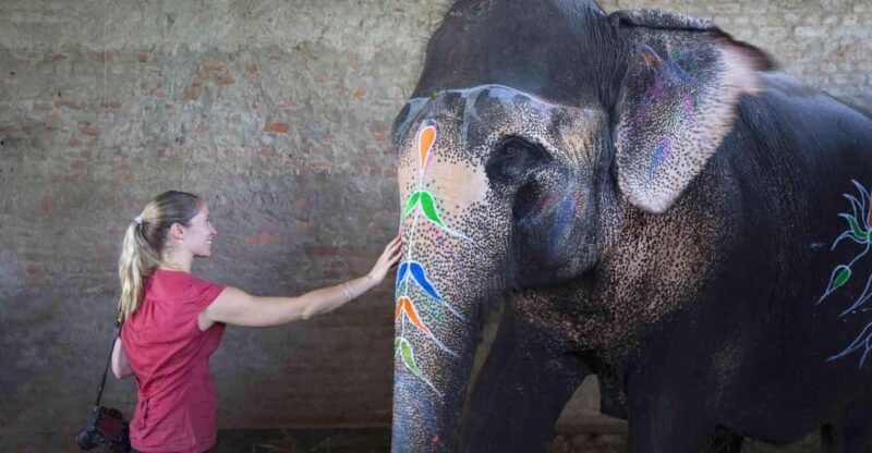From Delhi: Taj Mahal Sunrise Tour w/ Elephant Conservation - Key Points