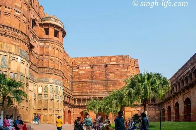 From Delhi: Taj Mahal Sunrise Tour with Elephant Conservation - Returning to Delhi