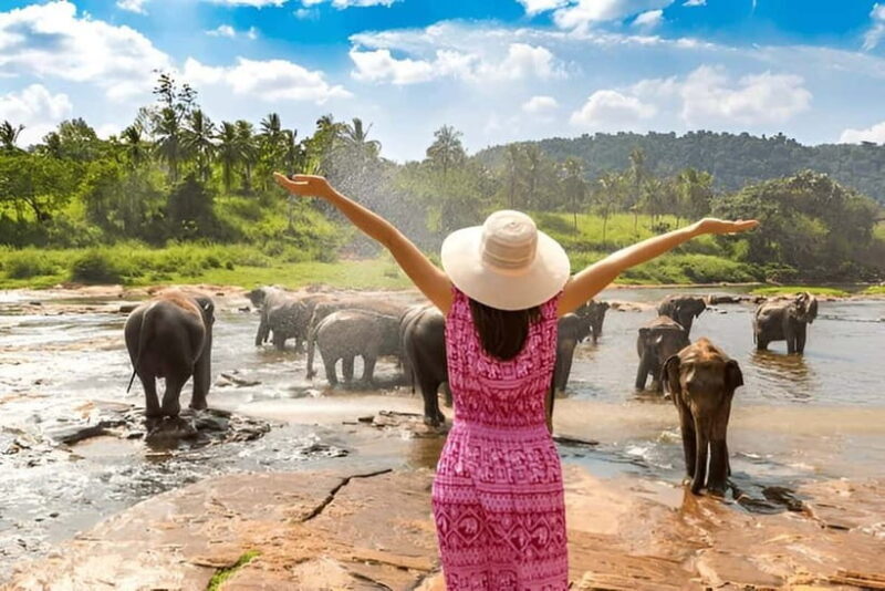 From Delhi: Taj Mahal Sunrise Tour with Elephant SOS Center - Key Points