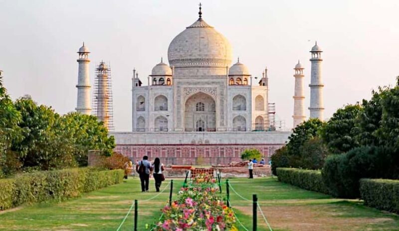 From Delhi: Taj Mahal Sunrise Trip with Elephant SOS Center - Key Points