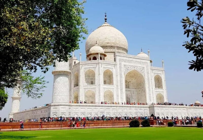 From Delhi: Taj Mahal Tour with Elephant Conservation Centre - Practical Details & Traveler Tips