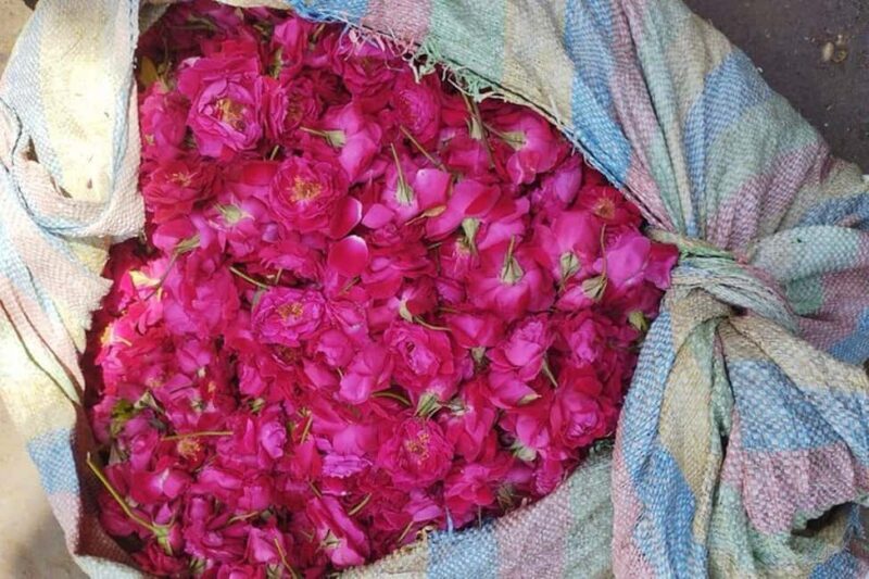 From Delhi to Varanasi Tour (2 Days) - Key Points