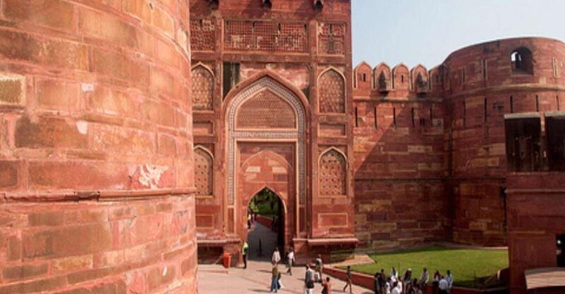 From Delhi: Trip to Taj Mahal, Wildlife SOS and Agra Fort - Savoring Local Flavors (Optional Meal)