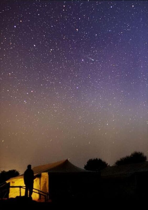 From Delhi: Varanasi Guided Tour  Ganga Aarti & Boat Ride - An Honest Look at a Night of Cosmic and Cultural Wonder