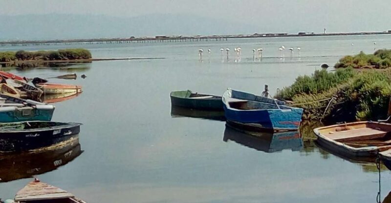 From Deltebre: Ebro Delta National Park Multi-Stop Day Trip - Detailed Review of the Ebro Delta Tour