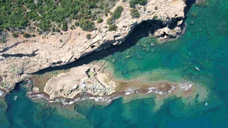 From Denia: Boat Trip to Tallada Cave with Optional Swim - Key Points