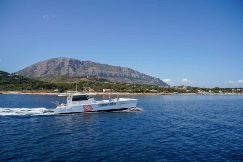 From Denia or Javea: 3 Cape Boat Excursion with Snorkeling - Authentic Feedback from Travelers