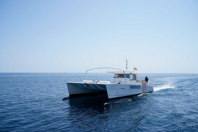 From Denia or Javea: 3 Cape Boat Excursion with Snorkeling - Final Thoughts: Who Is This Tour Best For?