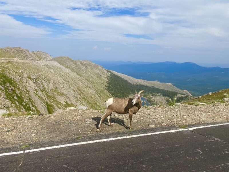 From Denver: Pikes Peak and Garden of the Gods Guided Tour - FAQ