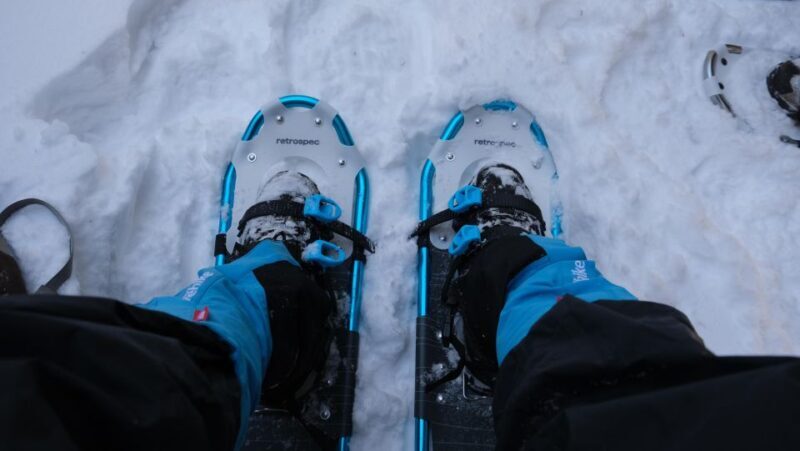 From Denver: Snowshoeing in Rocky Mountains - Key Points