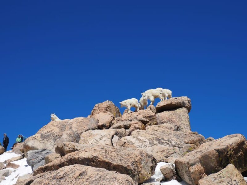 From Denver: Trip to Mount Blue Sky Summit and Glacial Lake - Key Points
