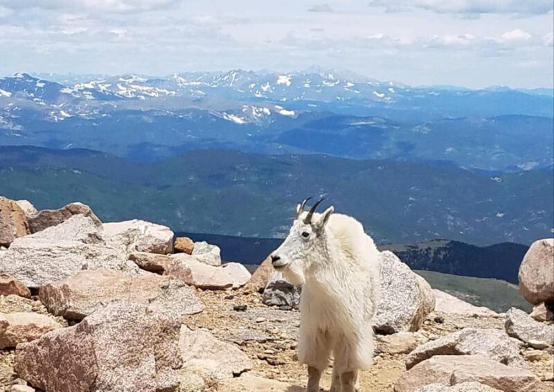 From Denver: Trip to Mount Blue Sky Summit and Glacial Lake - Lunch and Shopping in Idaho Springs